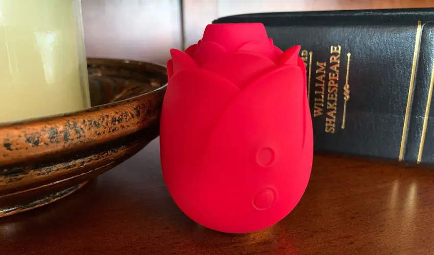 Rose Toy Easy Cleaning and Maintenance - worldmeg.com